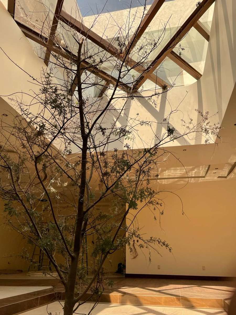 Mogamex, ayudándote a redescubrir tus espacios – Amevec